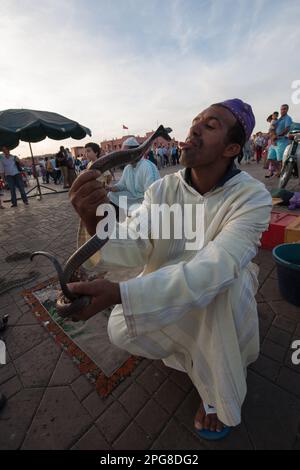 incantarori di serpenti nella piazza jamaa el fna, marrakech, marocco ...