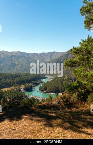 Panorama from a mountain framed by spruce tree branches to the fast ...