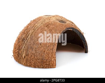coconut shelter in front of white background Stock Photo - Alamy