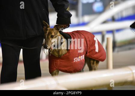 Oxford, UK. 20th Mar 2023. Salthill Orbit (black & white striped jacket ...