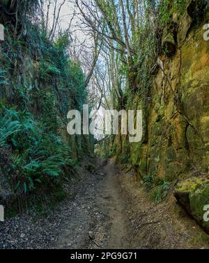 Symondsbury Shute’s Lane and Hell Lane ancient holloways or sunken ...