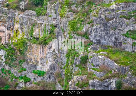 The cliff face of St Vincent's Rocks in Bristol, England, UK Stock ...