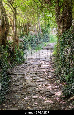 Mountain path by Juval Castle (German: Schloss Juval, Italian: Castel ...