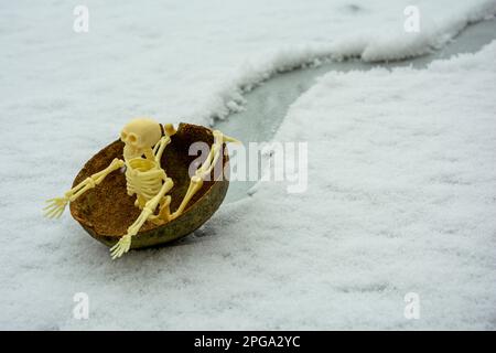skeleton rides on the hemisphere as on a sled in the snow Stock Photo ...