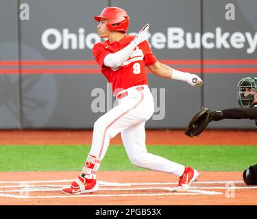 Ohio State Buckeyes Matthew Graveline (9) at bat during an NCAA ...