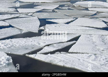 Floating ice sheets, Chateauguay River, Province of Quebec, Canada ...