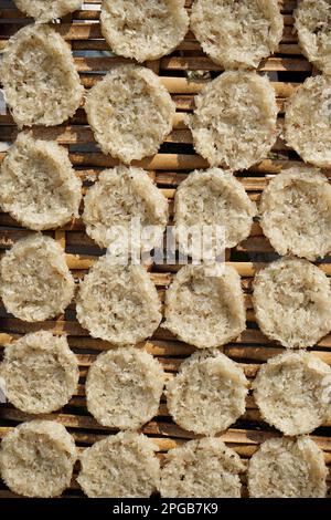 Glutinous rice laid out to dry, Luang Prabang, Laos Stock Photo - Alamy