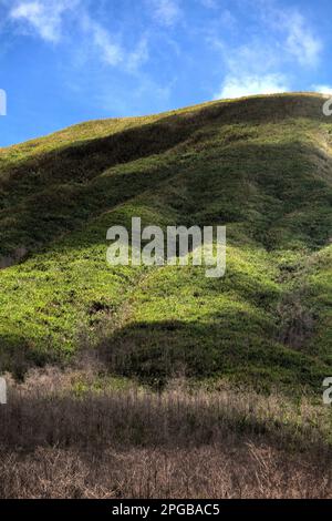 Scenery of Mount Lokon, an active volcano, with a sugar palm tree ...