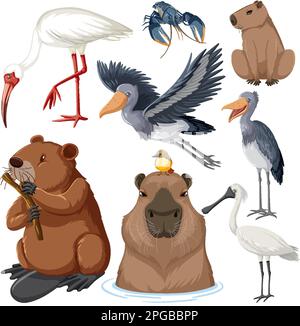 Various Wetland Animals Collection illustration Stock Vector Image ...