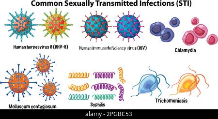 Common Sexually Transmitted Infections (STI) illustration Stock Vector ...