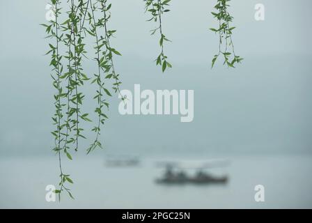 Tourists enjoy spring scenery at Hangzhou Xixi National Wetland Park in ...