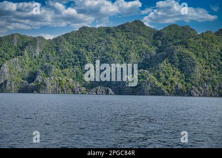 Majestic rocks in Coron, Palawan in the Philippines that are overgrown ...