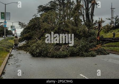 A view of a scene of destruction as a storm hits San Francisco, with ...
