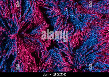 Ferrofluid illuminated with neon light Stock Photo - Alamy