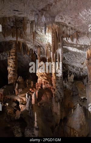 Postojna Cave, located in Slovenia, is a world-famous natural landmark ...