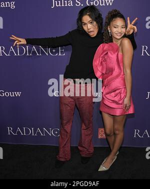 Sean Lew at the CAPE Presents RADIANCE Gala held at The Ebell Club of ...