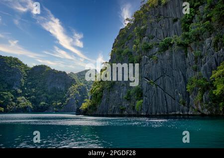 Majestic rocks in Coron, Palawan in the Philippines that are overgrown ...