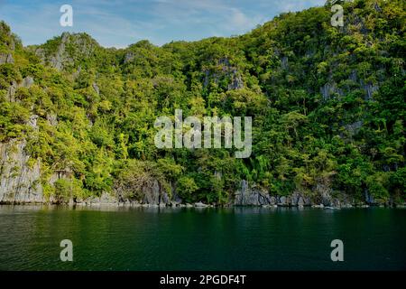 Majestic rocks in Coron, Palawan in the Philippines that are overgrown ...