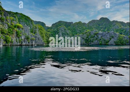 A bay with majestic rocks in Coron, Palawan in the Philippines that are ...