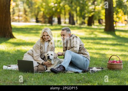 Cute dog near laptop Stock Photo - Alamy