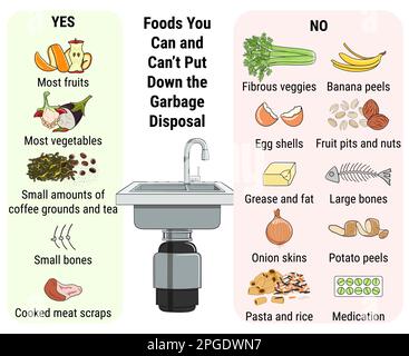 Infographic of food waste disposer for home kitchen sink with kitchen ...