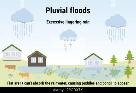 Flat infographic poster of natural disaster with titles information and ...