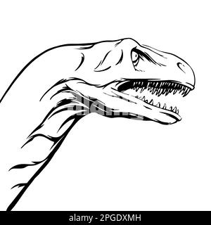 Drawn brontosaurus head isolated on white background for print and ...
