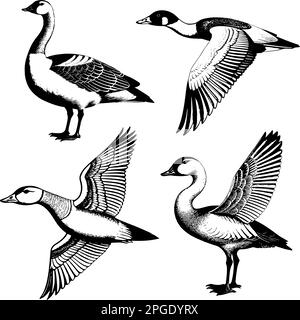 White goose flying pattern seamless. ducks bird of passage background ...