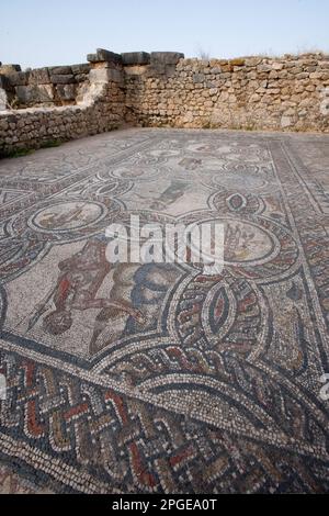 la casa dei fauni e delle nereidi, sito archeolgico romano di volubilis ...