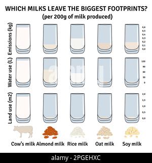 The impact of milk types on the environment. Milk infographic. Dairy ...
