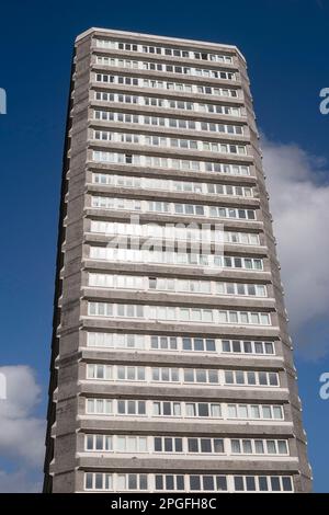 A tower block in Sunderland city centre Stock Photo - Alamy