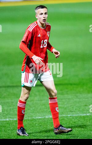 Newport, UK. 22nd Mar, 2023. Iwan Morgan of Wales celebrates scoring ...