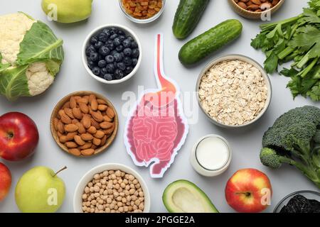 Layout of gastrointestinal tract model and products to help digestion ...