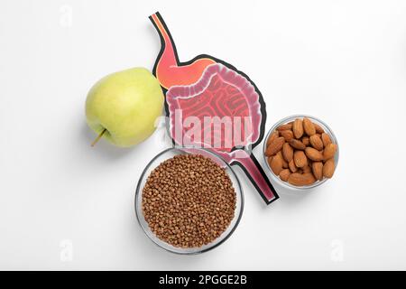 Gastrointestinal tract model and products to help digestion on white ...