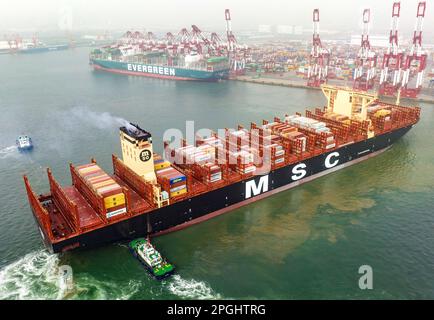 The 24,346-TEU MSC IRINA, the newly world's largest container ship ...