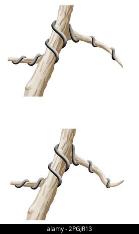 How to wire a bonsai tree to create a cascade style Stock Photo - Alamy