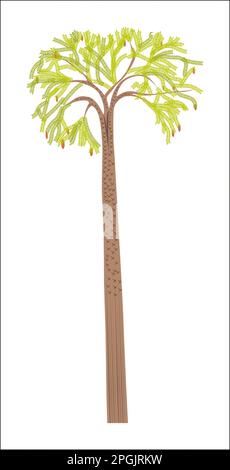 Lepidodendron Tree, Illustration Stock Photo - Alamy