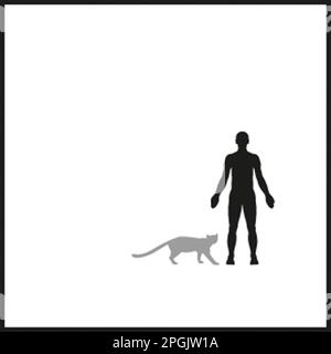 Jaguarundi, Herpailurus yagouaroundi. Wild cat native to South and ...