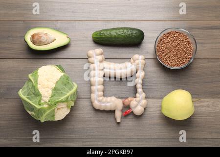 Layout of intestine model and products to help digestion on wooden ...