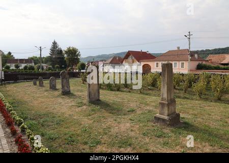 WW1 War cemetery in the empty space of the nave of Cârța Monastery ...