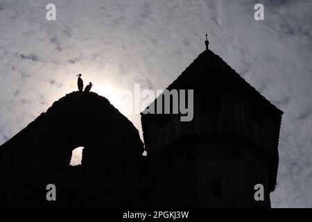 Silhouettes of two storks on the roof of Cârța Monastery Stock Photo ...
