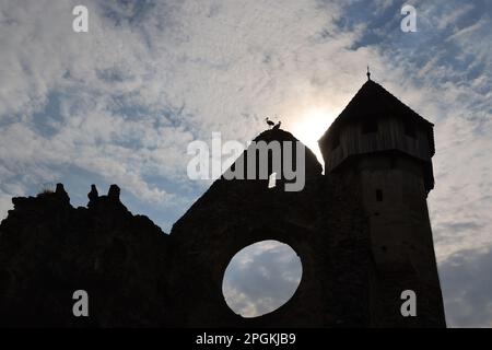 Silhouettes of two storks on the roof of Cârța Monastery Stock Photo ...