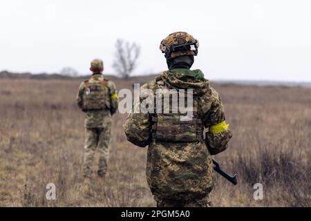 Rear view of two armed Ukrainian soldiers walking in steppe in uniform ...