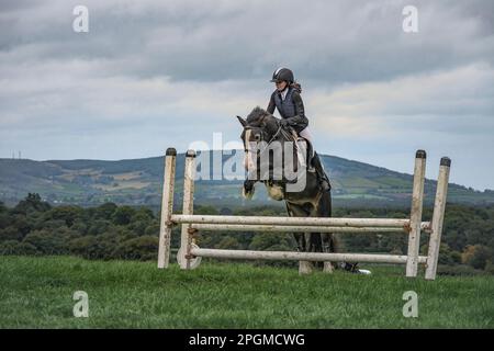 A girl rides her horse over one of the jump fences. 41st Johnstown ...
