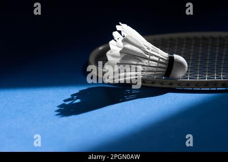 Badminton racket and shuttlecock on mint color background. Horizontal ...