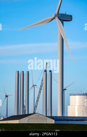 Buss Terminal Eemshaven, logistics hub for the offshore wind farm ...