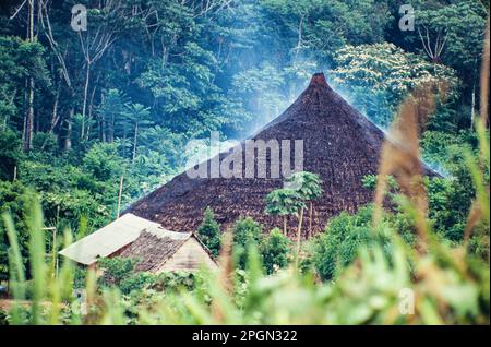 Yanomami Indigenous People, Amazon rainforest, Roraima State, Brazil ...