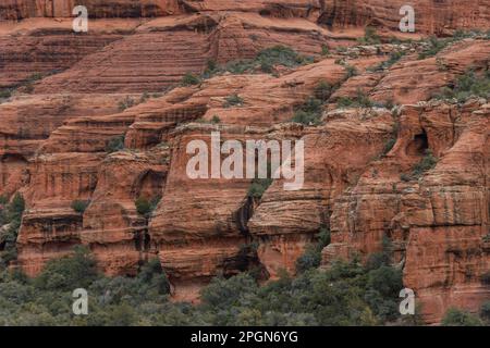 View looking up Boynton Canyon from Subway Cave in Sedona Arizona Stock ...