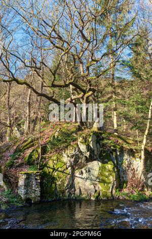 Harz Waterfall Selke Valley Selke Waterfall Stock Photo - Alamy