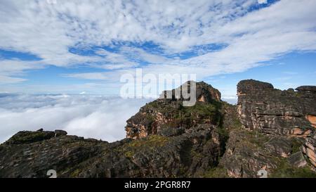 Steep and eroded sandstone cliffs of Auyan tepui, a famous table ...